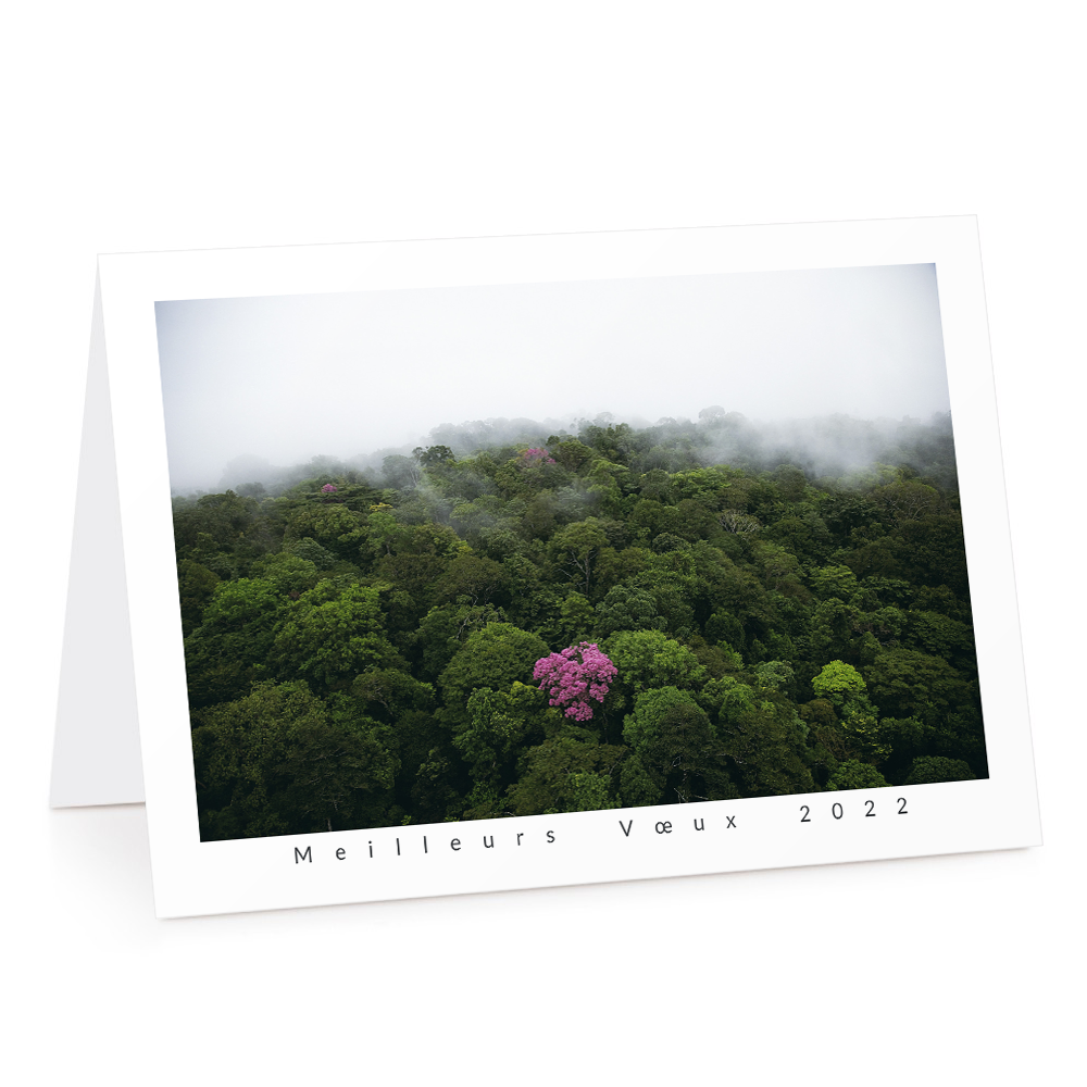 Cartes de voeux 2022 pour entreprises - Voeux professionnel